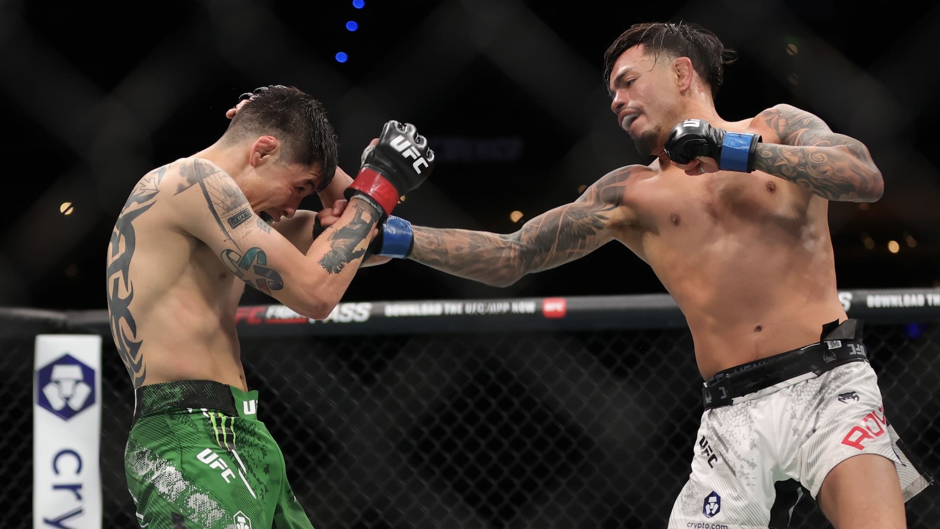 What to Stream on Compact Plus this November