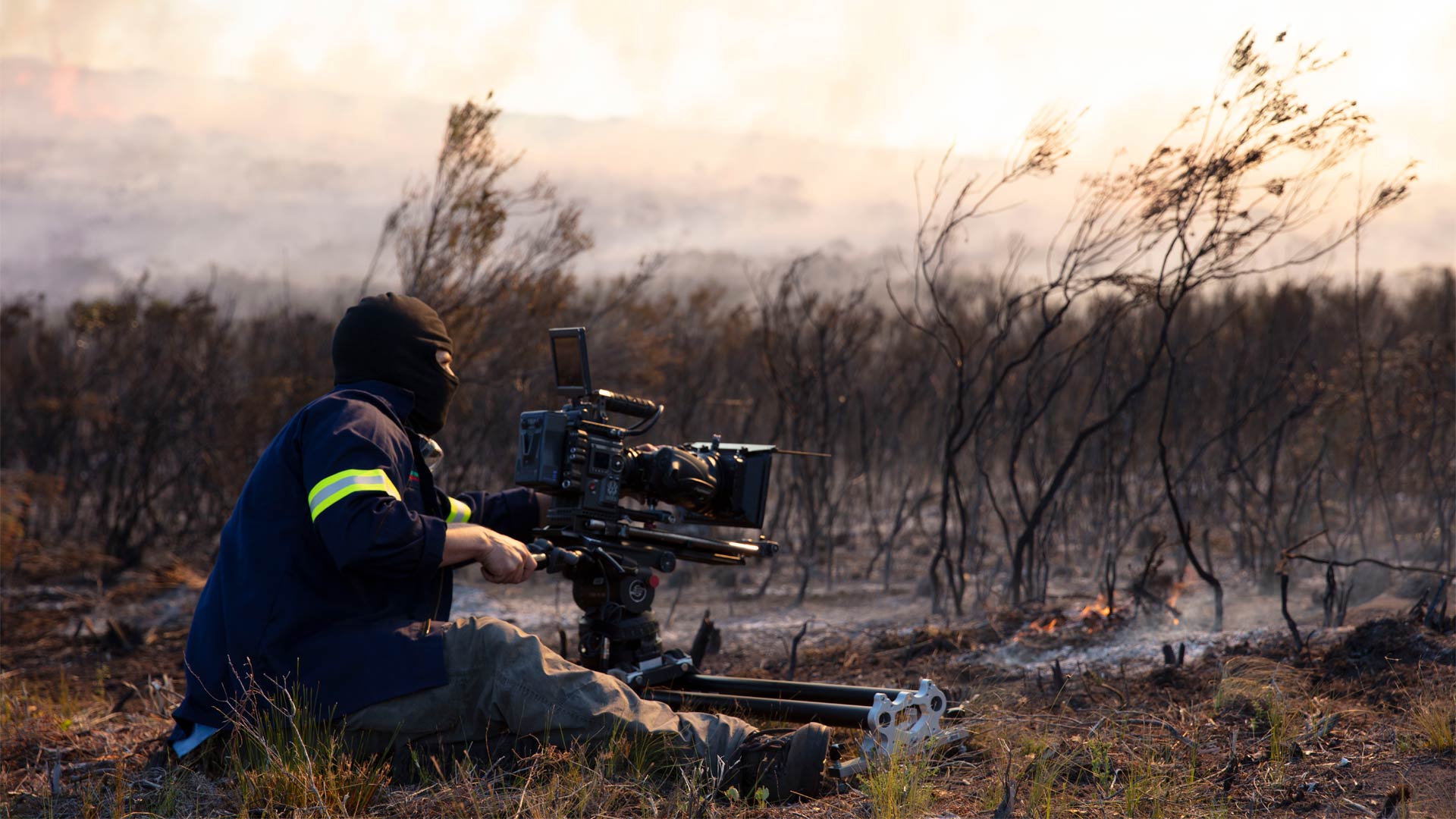 Watch The Green Planet Season 1, with your kids on DStv