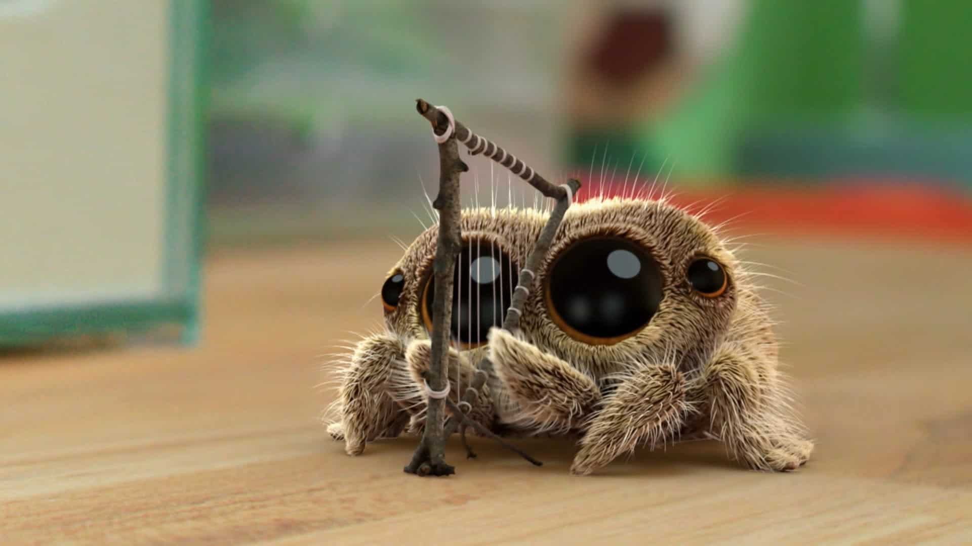 Watch Lucas The Spider Season 1 on Boomerang (DStv Channel 302)