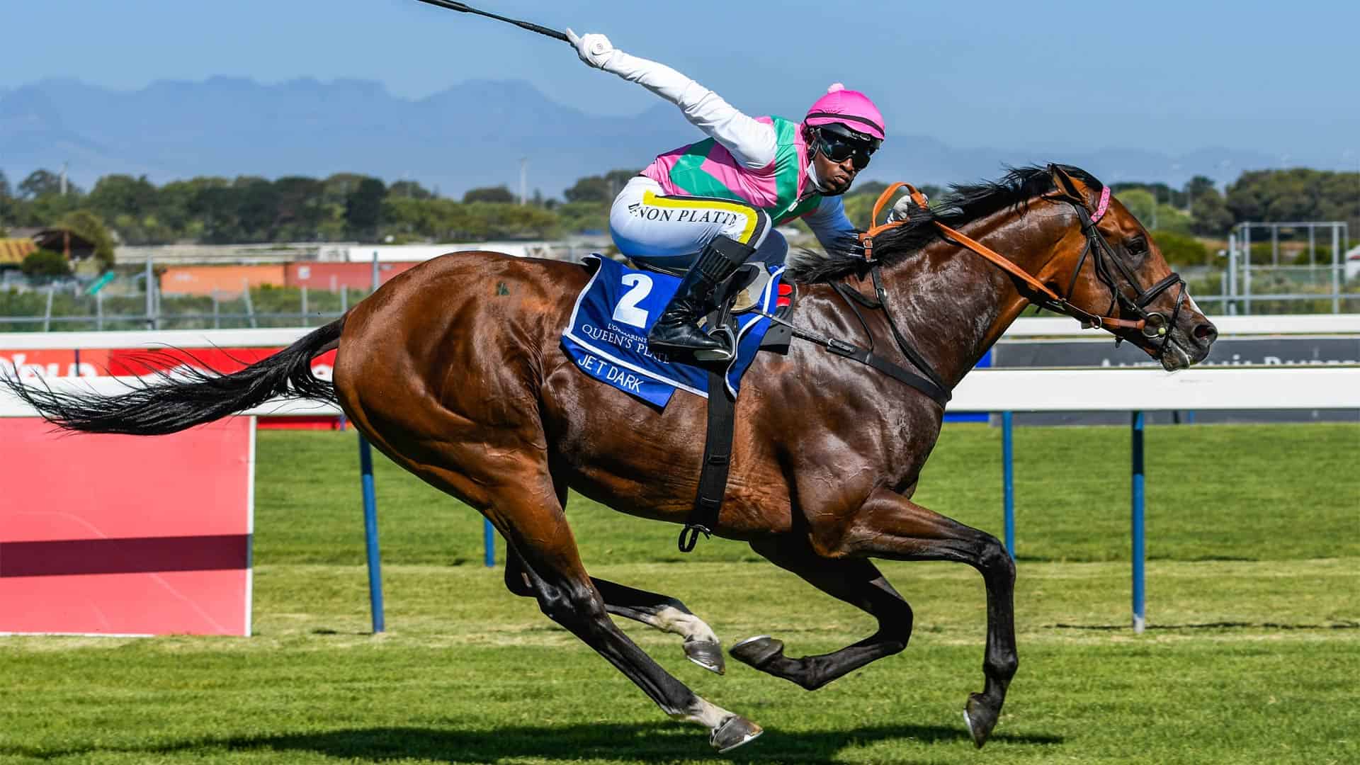 MultiChoice and 4Racing launch brand new 24-hour horse racing channel ...