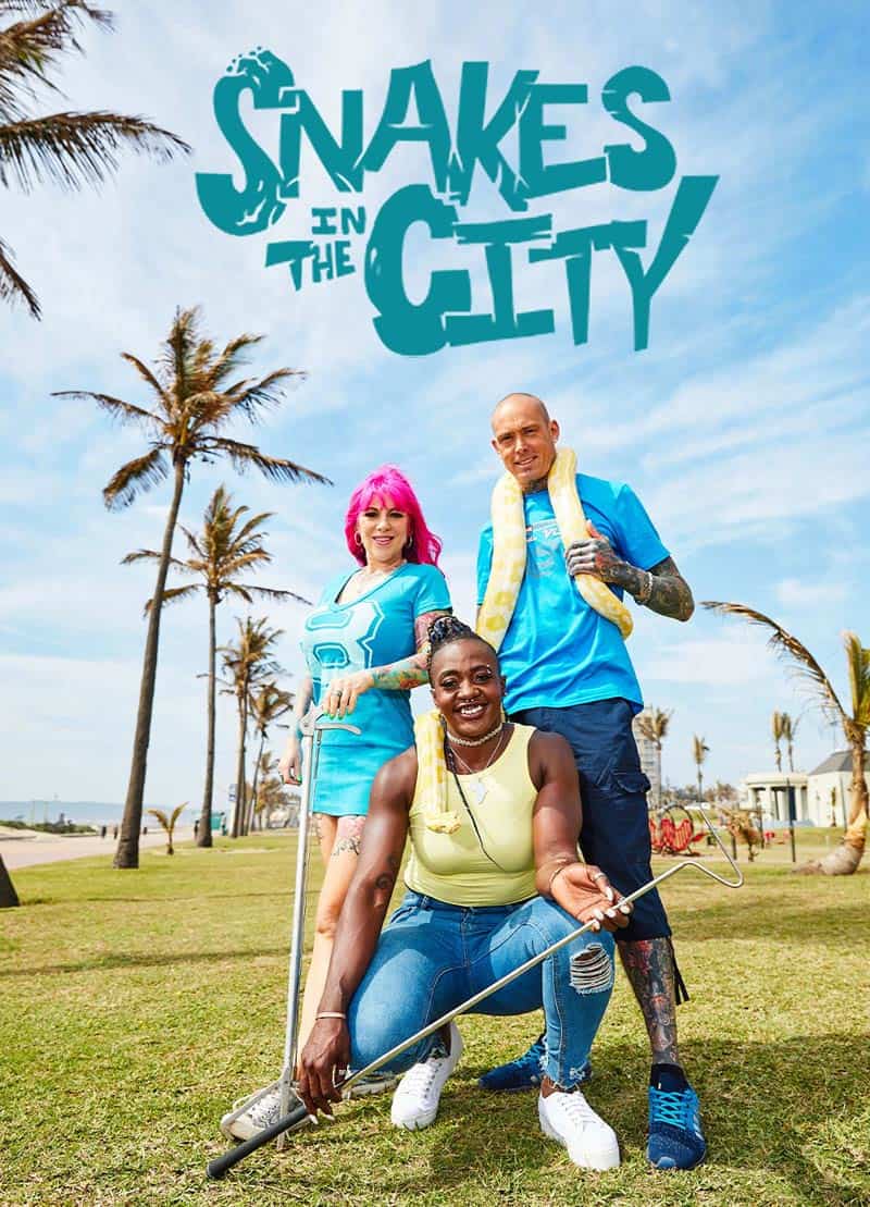 Get DStv and Watch the Latest Sport, Movies, Series and More | DStv