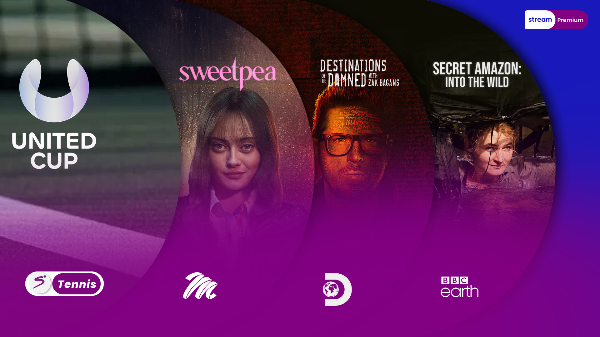 What to watch this December on DStv Premium 2024