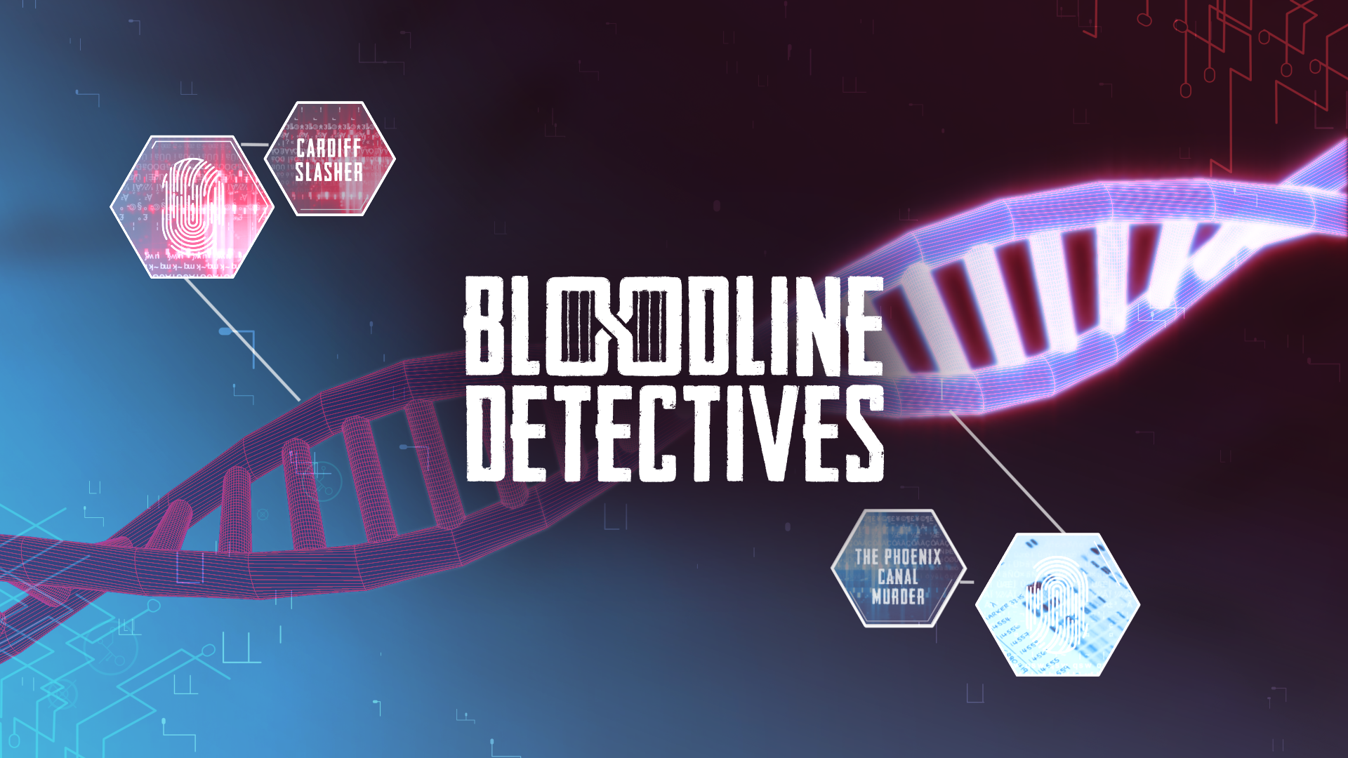 What to stream this October on DStv Compact Plus 2024