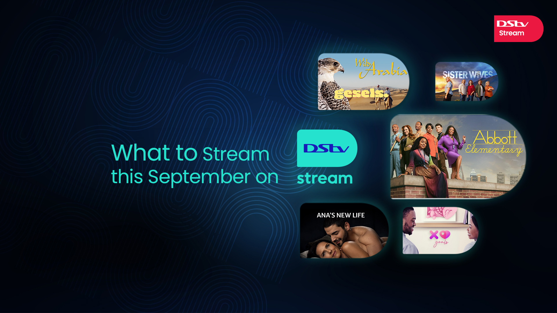 What to stream on DStv Access in September 2024