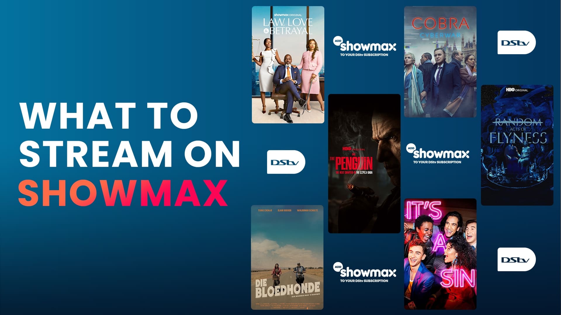 What to stream on Showmax in September 2024