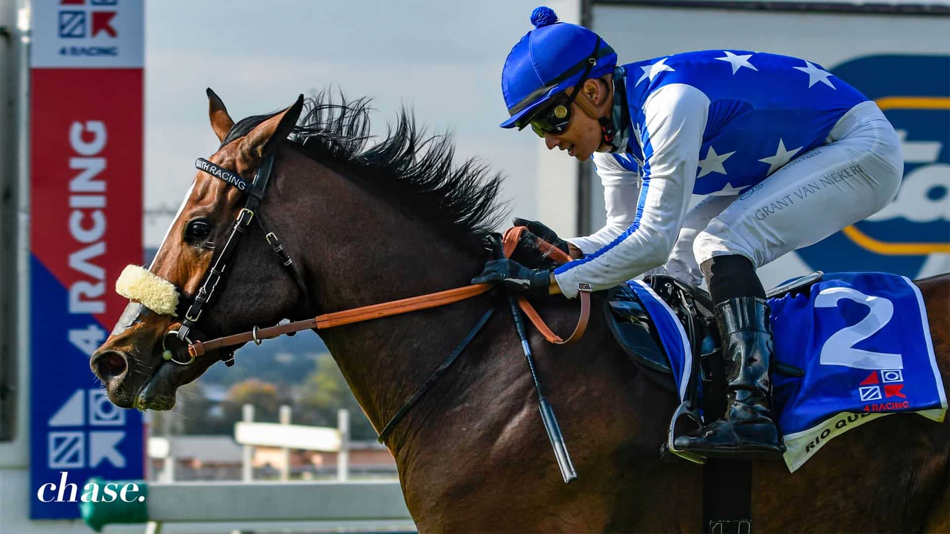 MultiChoice and 4Racing launch brand new 24-hour horse racing channel ...