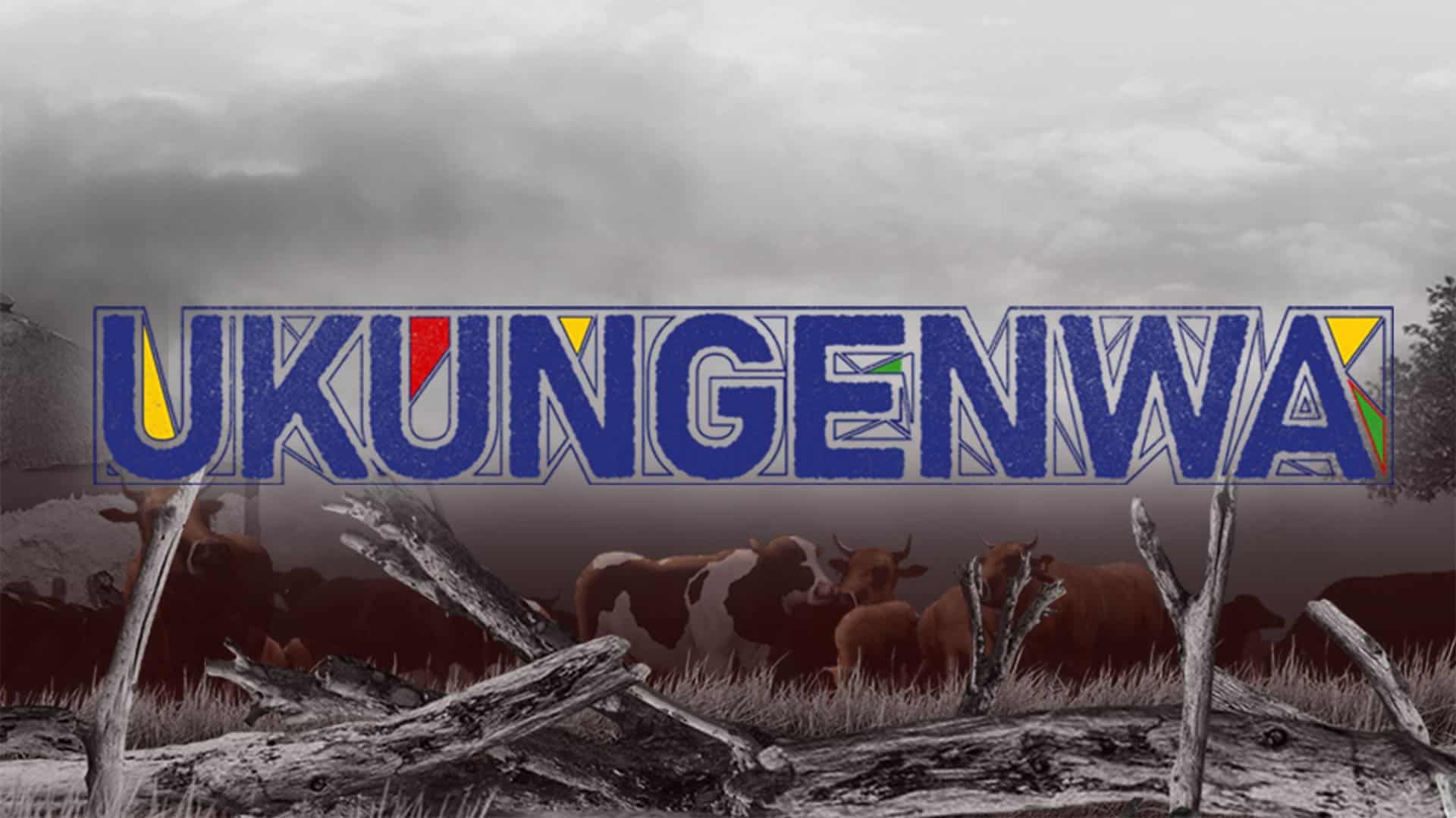 Watch Ukungenwa Season 1 on DStv