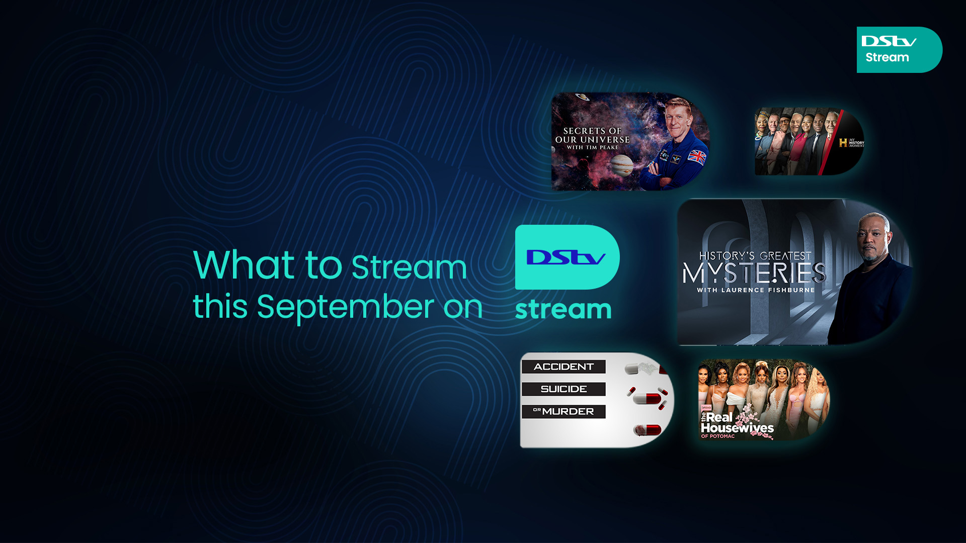 What to Stream this September on DStv Compact Plus2024