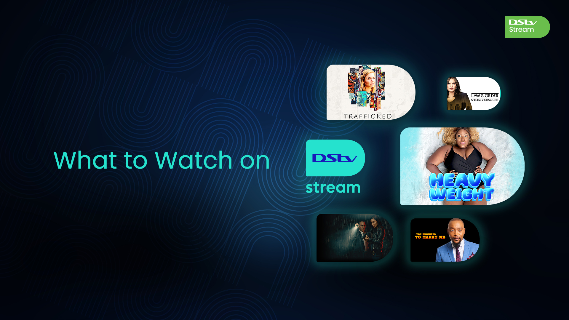 What to stream on DStv Family in July 2024