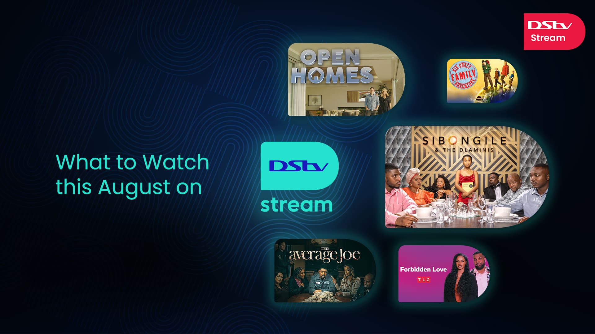 What to stream on DStv Access in August 2024
