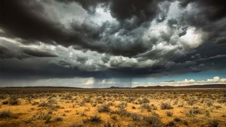 Watch The Green Planet Season 1, with your kids on DStv