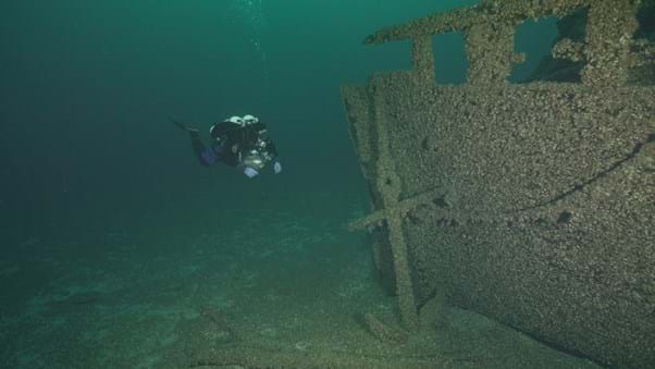 Watch Samuel L. Jackson’s documentary series Enslaved on 1Magic (DStv 103)