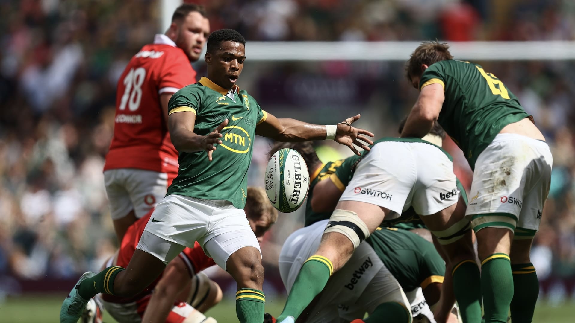 What to stream this November on DStv Premium 2024