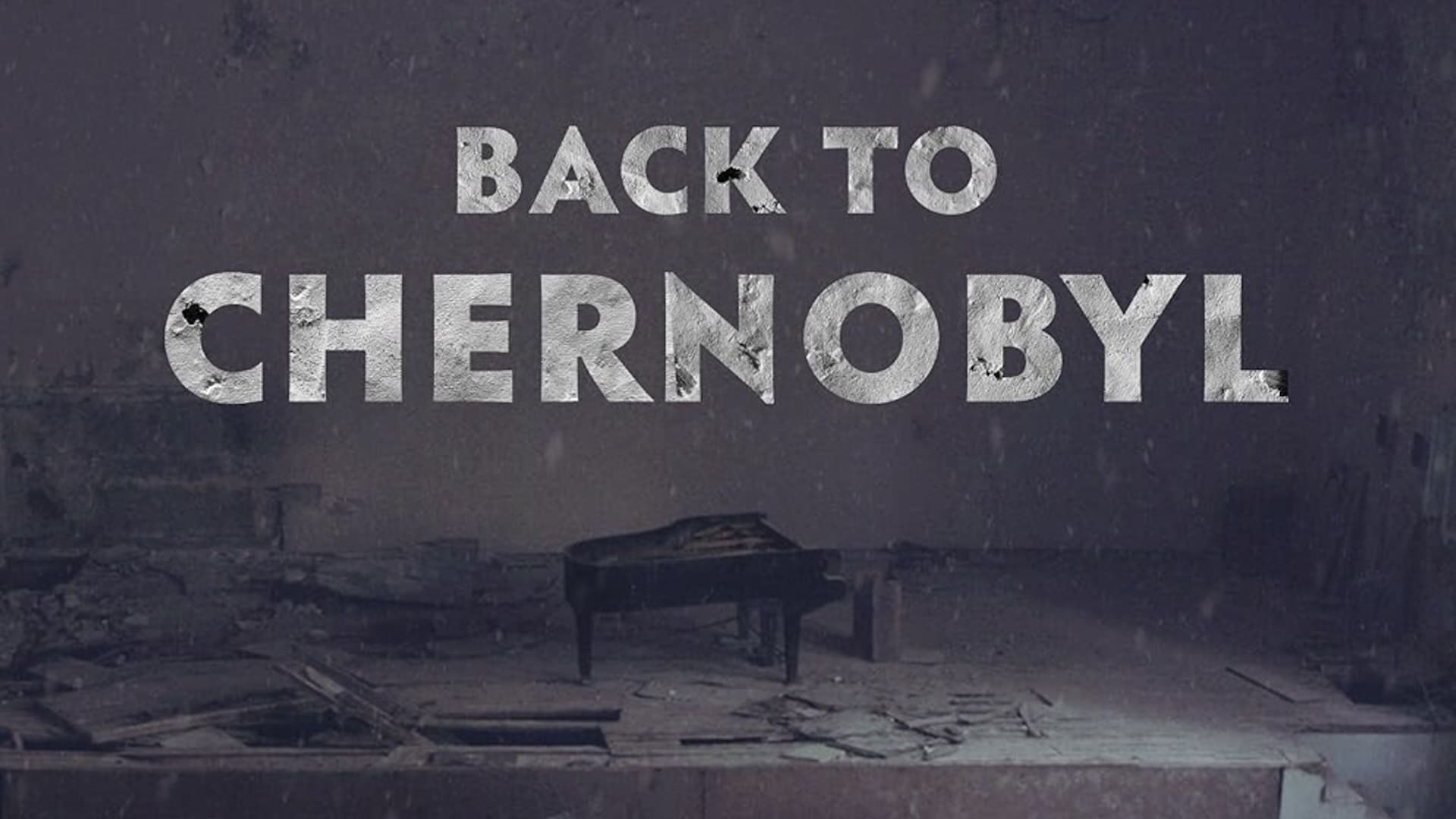 What to Stream on Compact Plus this November