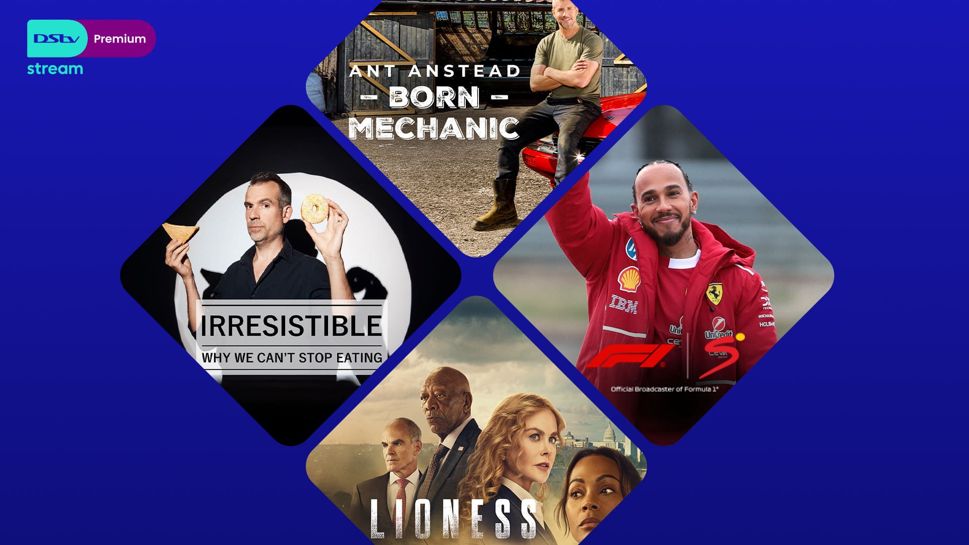 What to stream on DStv Premium March 2025