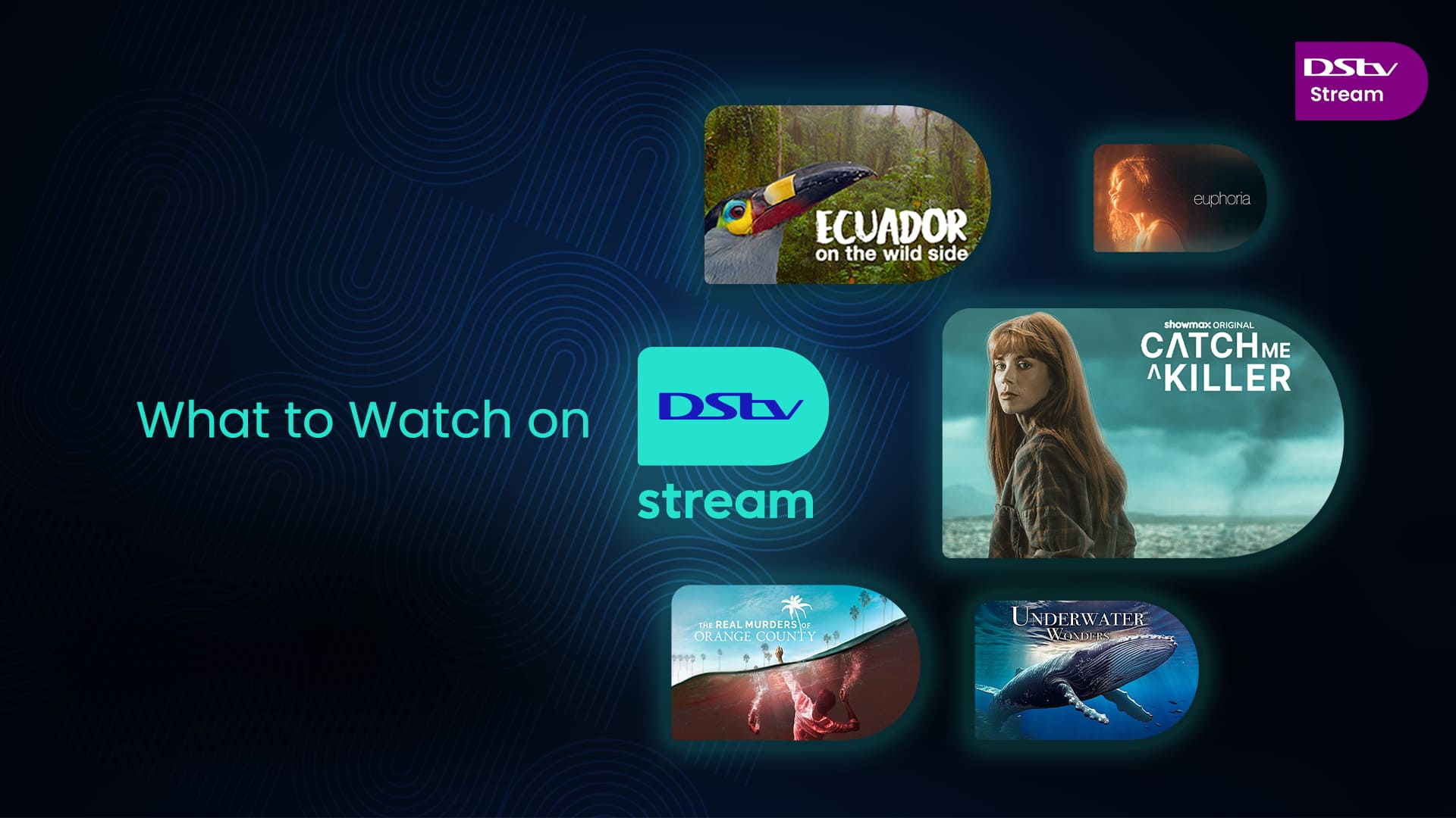 What to stream on DStv Premium in July 2024