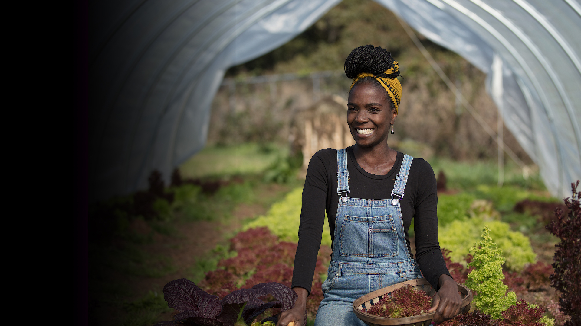 10 country life shows on DStv in October 2025