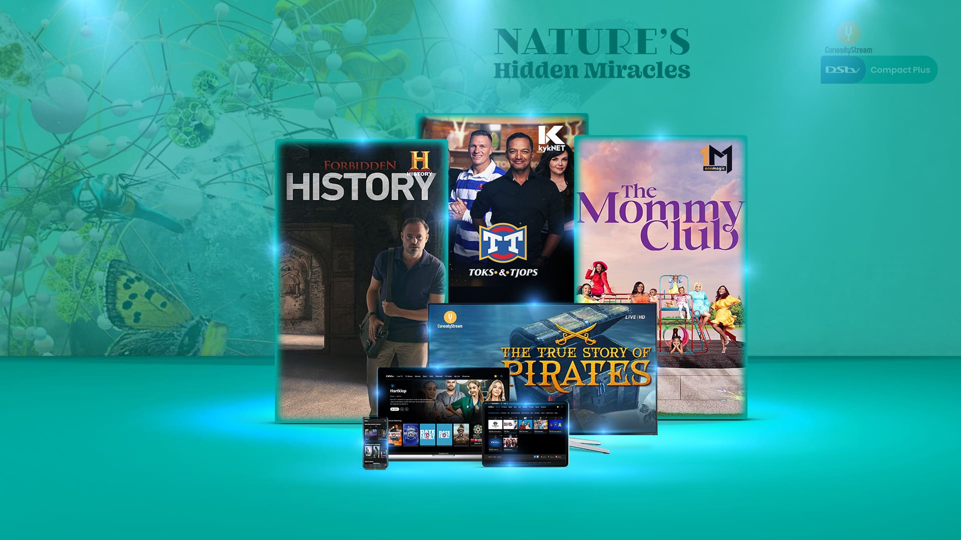 What to Watch on DStv Compact Plus in February 2024