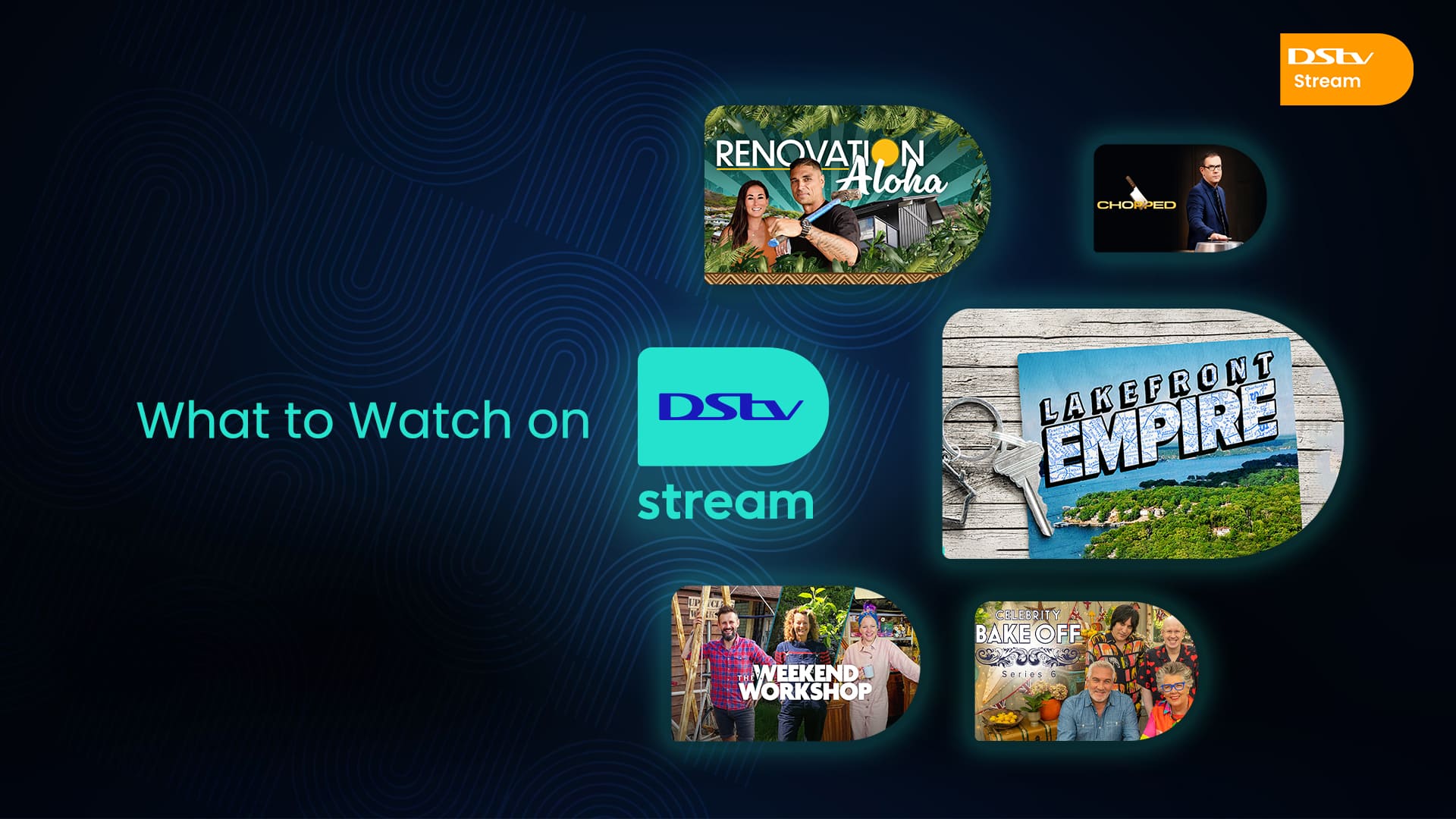 What to stream on DStv Compact in July 2024