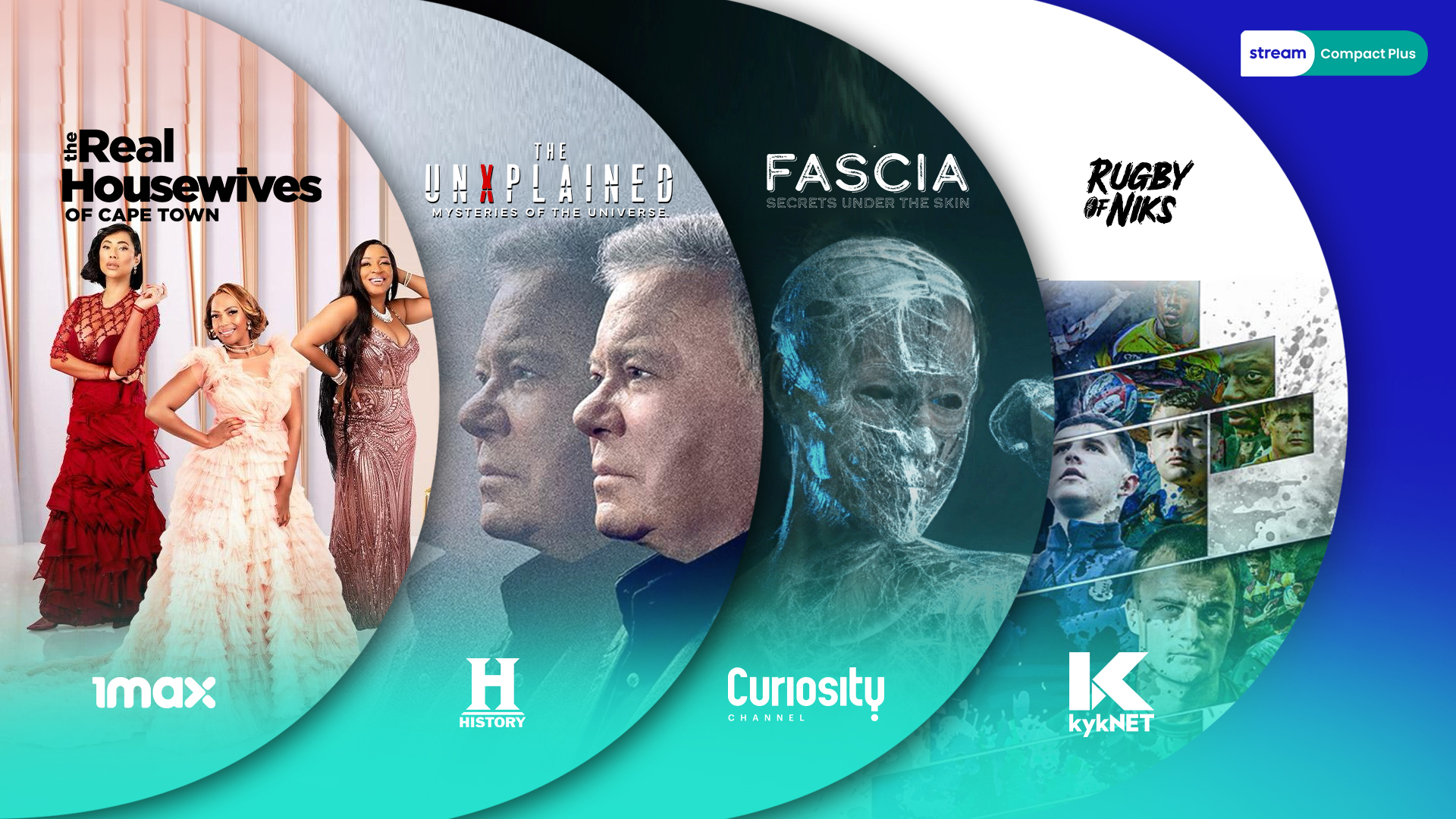 What to stream on DStv Compact Plus January 2025