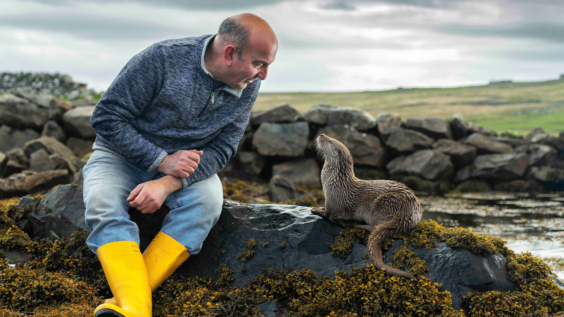 Award-Winning Documentary Billy & Molly: An Otter Love Story to ...